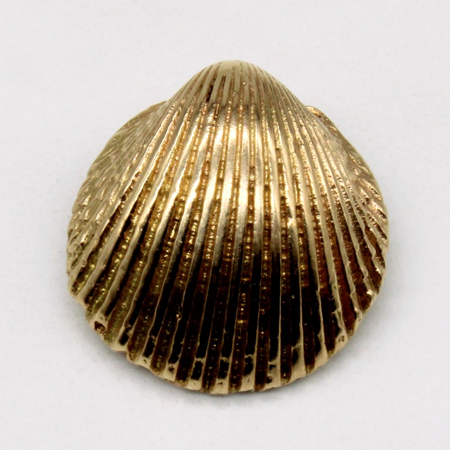 14k Yellow Gold Seashell Charm – 100 Ways