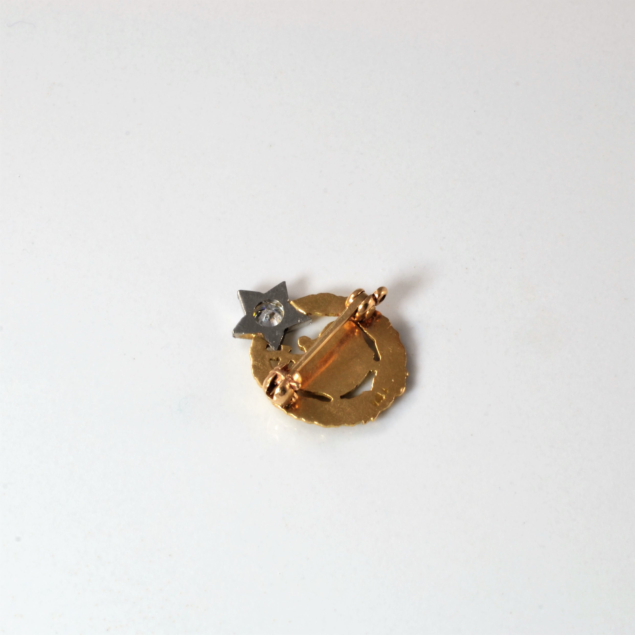 Edwardian Era Order of the Amaranth Pin | 0.10ct